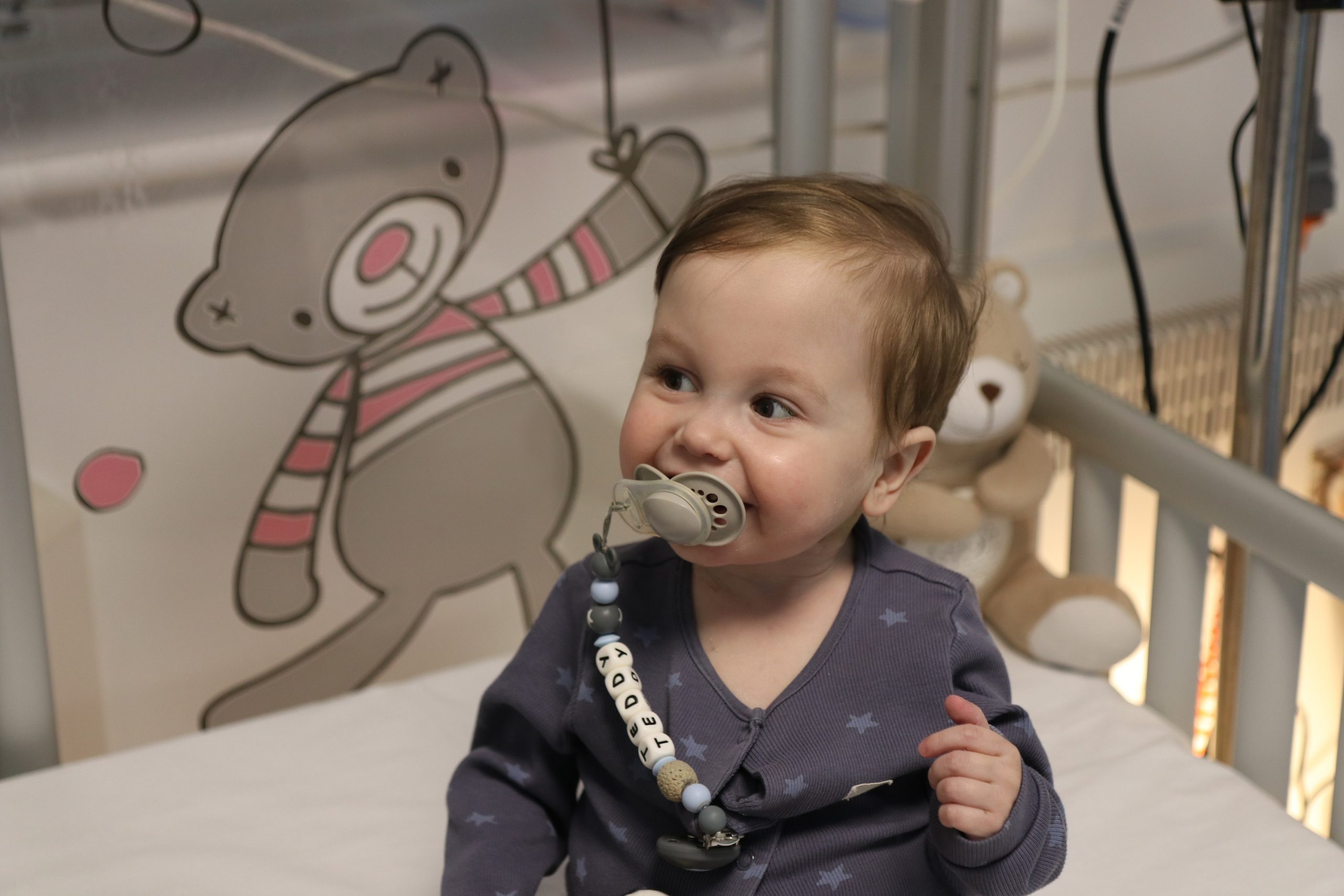 Christmas cheer as mum gifts young son with life-saving liver ...